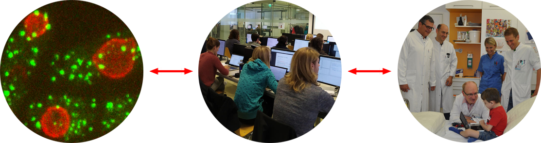 CBD: Cellular Basis of Diseases – Medical University of Innsbruck